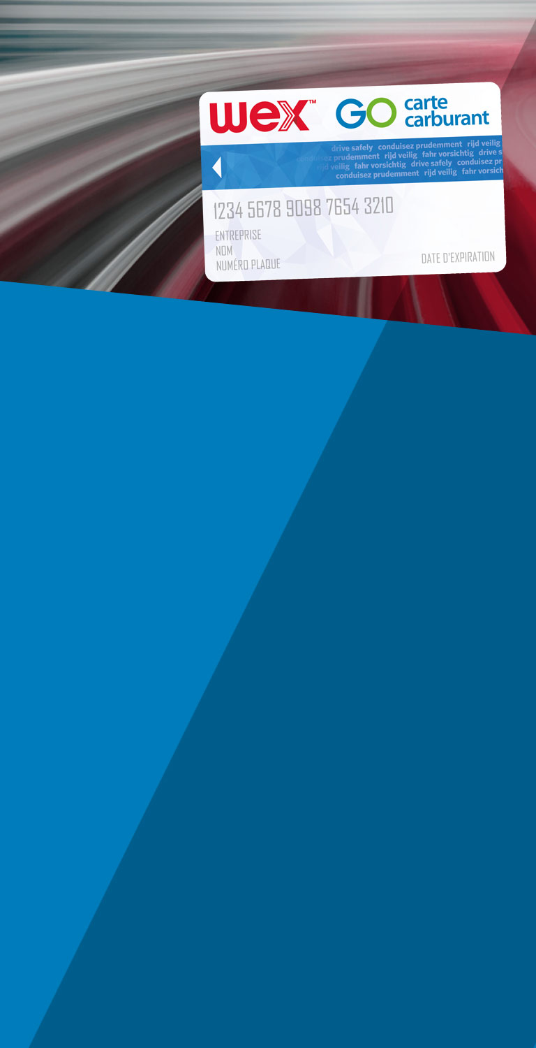 EG Leaflet - GO fuel card